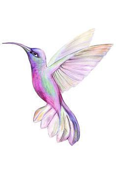 Hibiscus and hummingbird. Гибискус и колибри. PNG. | Колибри, Гибискус ...