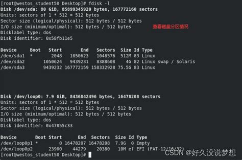 Linux存储管理：设备识别与挂载 Csdn博客