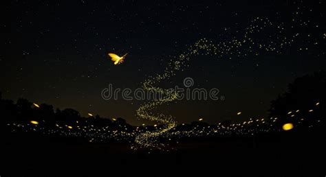Fireflies Creating A Sparkling Pathway Through A Dense Forest Stock