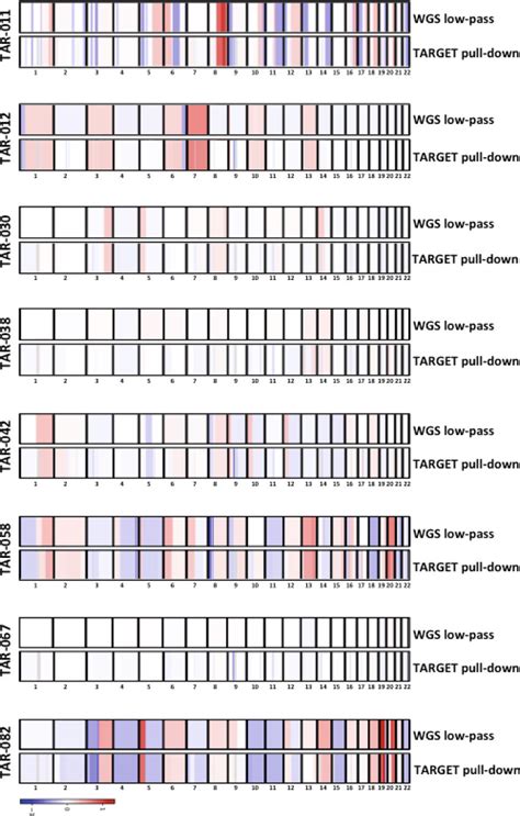 Comparison Of Wgs Low Pass Cna Data And Cnvkit Data From The Same Ctdna