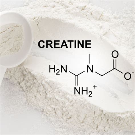 What Are The Types Of Creatine Set For Set