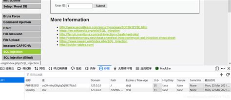 Window下使用sqlmap探测sql注入漏洞moonyous的博客 Csdn博客