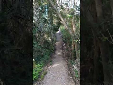 1 31 新北市中和區景點 圓通寺烘爐地登山步道 華新街109巷登山口 外挖子山 光明頂 南山福德宮 YouTube