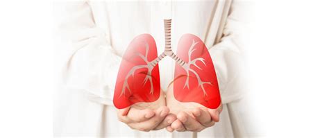 Lung Transplant In Bangalore Lung Replacement Aster RV Hospital
