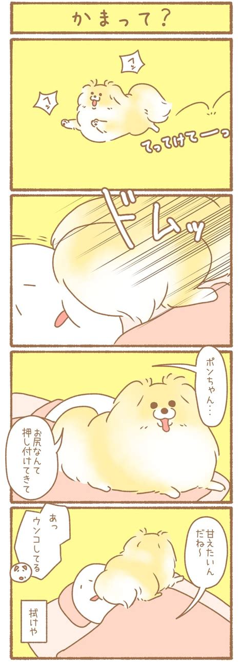 ただの犬好きです。【第281話】「かまって？」｜ニフティニュース
