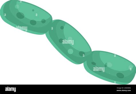 Illustration Of Green Streptococcus Bacteria Forming A Chain Through