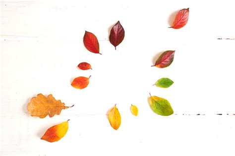밝은 나무 배경 상단 보기 평평한 표면에 여러 가지 빛깔의 단풍의 프레임 10월에 대한 스톡 사진 및 기타 이미지 10월