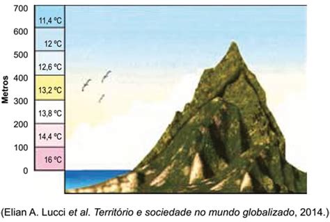 Famerp 2017 O Gradiente Térmico Ilustrado Na Imagem é Explicado Pela