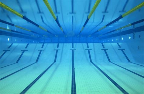Css Times For October 2014 Lane Swimmers Swimyourswim