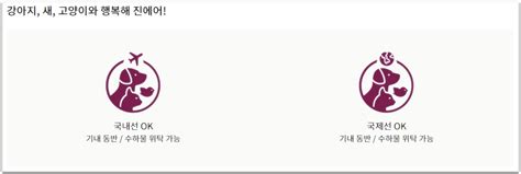 반려견 외 애완동물 비행기 탑승 비용 알아보기