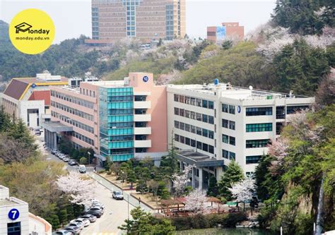 Đại Học Dong Eui Top Trường Đại Học Hàng đầu ở Busan