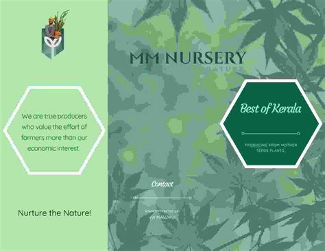 Miracle Fruit Tablets Unveiling Magic Berry Power