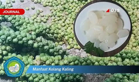 Temukan Manfaat Kolang Kaling Yang Jarang Diketahui Dan Wajib Kamu Intip