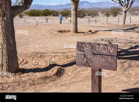 Rattlesnake Area Warning Signs At Rest Stop Along Interstate In California Stock Photo Alamy