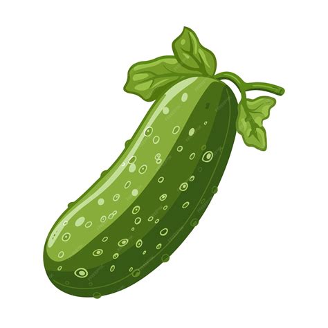Premium Vector Cucumber Vegetables Flat Vector On White Background