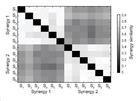 Figure 3 From Spatiotemporal Characteristics Of Muscle Patterns For