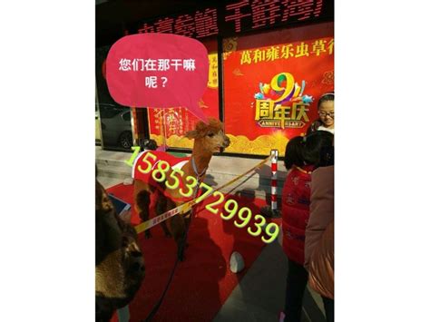 四川省凉山州布拖县肉驴出售价格最低山东华旺地址养殖场 肉驴养殖场 嘉祥县六合牛羊养殖场