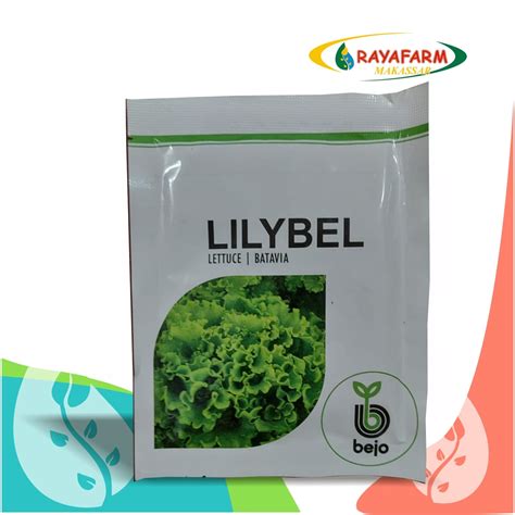 Jual Benih Bibit Selada Batavia Lilybel 1000 Pill Bejo Shopee Indonesia