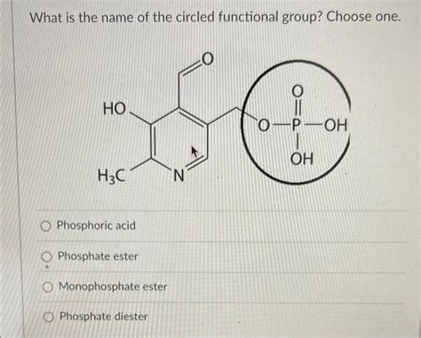 Solved What Is The Name Of The Circled Functional Group