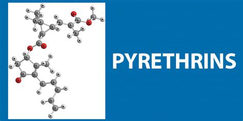 Pyrethrins