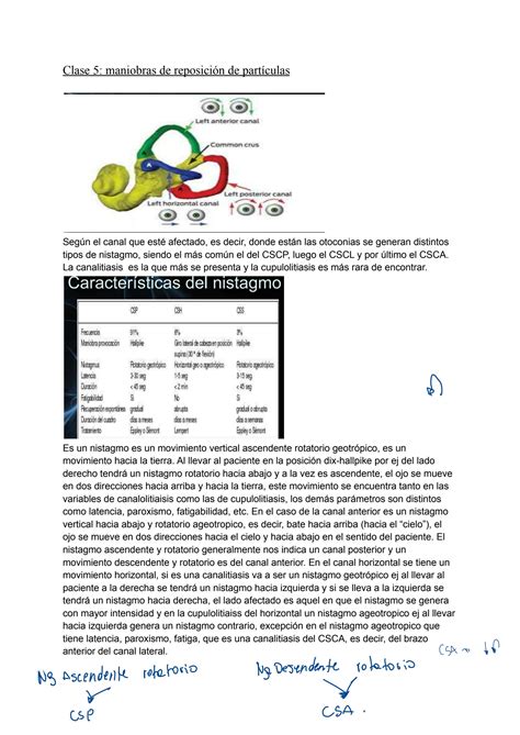 SOLUTION Clase 5 Maniobras De Reposici N De Particulas Studypool