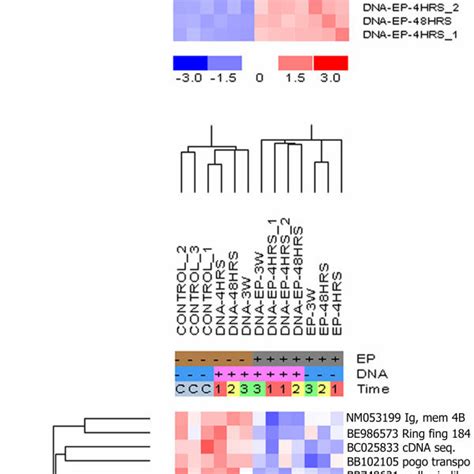 sample correlation matrix and hierarchical cluster analysis of gene