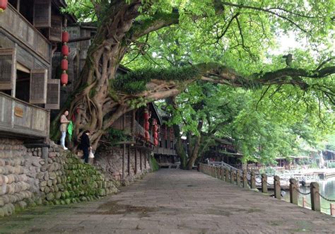 四川又一“避暑古镇”火了，距成都仅2小时车程，距今已有800年历史