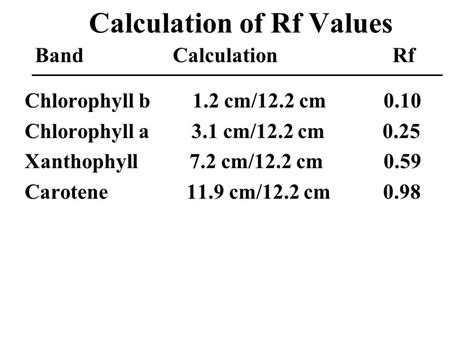 By Frank H Osborne Ph D Lab 5 Green Plant I Ppt Download