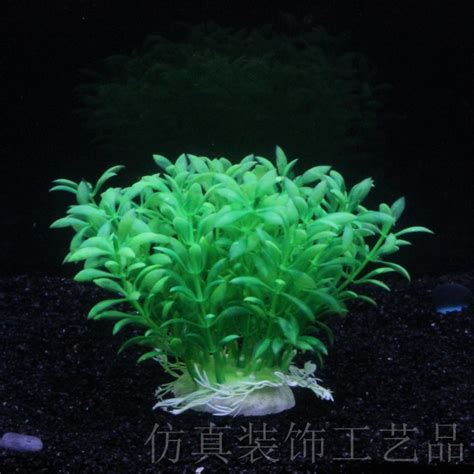 仿真水草小号鱼缸造景布景塑料前景中景假草水族箱装饰摆件新品虎窝淘