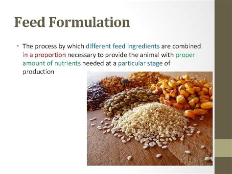 Wuffda Software For Feed Formulation Fahar Ibtisham 2251502595