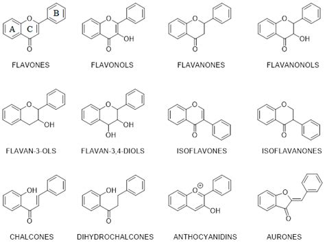 Flavonoids Review Article At Santiago Vanmatre Blog