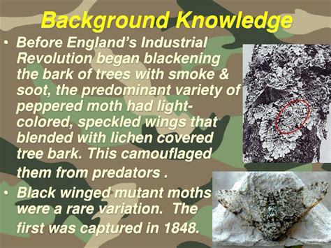 Ppt Natural Selection Experiment Kit Powerpoint Presentation Free