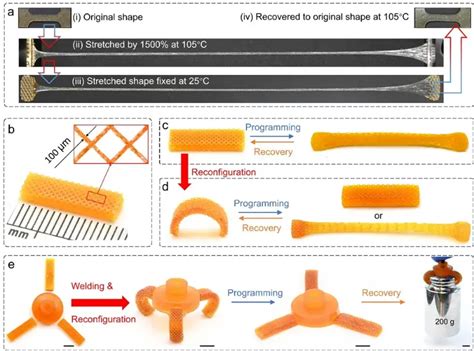 南方科技大学葛锜教授课题组《science Advances》：高性能共价适应性网络形状记忆聚合物的可重构4d打印 知乎