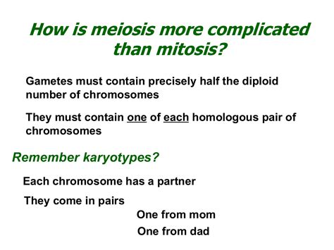 Cell Division Interphase Cell Cycle Mitosis Vs Meiosis Pdf