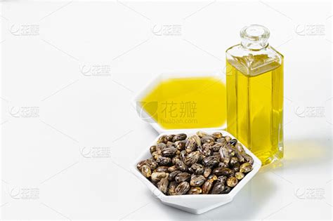 蓖麻油和谷物在弓