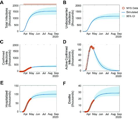Simulating The Effect Of Undocumented Infections On Sars Cov 2
