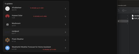 Hacs Shows Update While The Latest Is Already Installed · Issue 3049