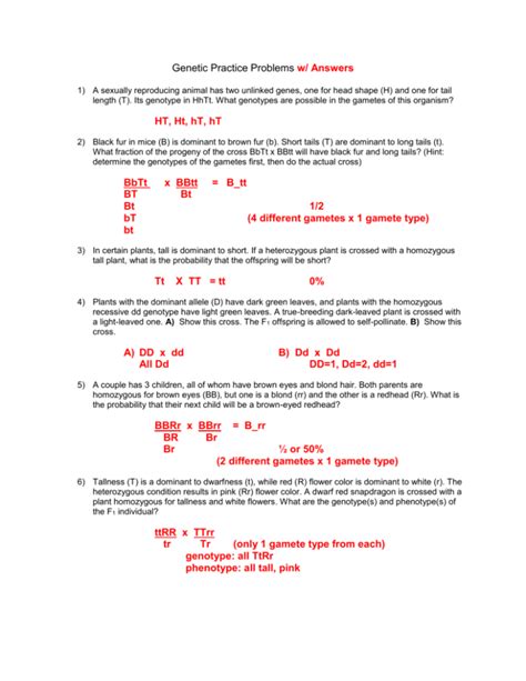 Genetic Practice Problems With Answers