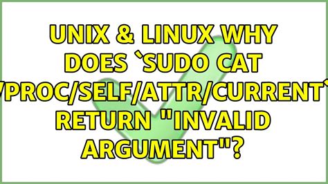 Unix And Linux Why Does `sudo Cat Procselfattrcurrent` Return