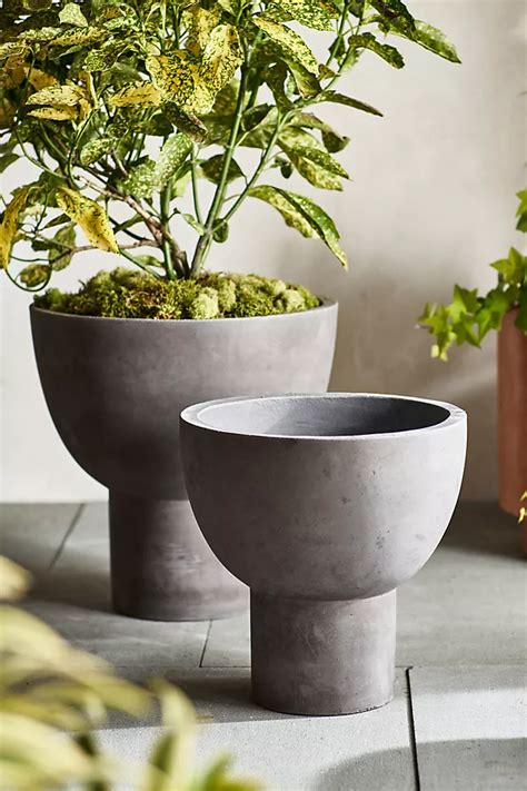 Footed Bowl Concrete Planter Anthroliving