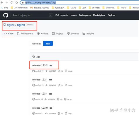 Visual Studio Windows Nginx