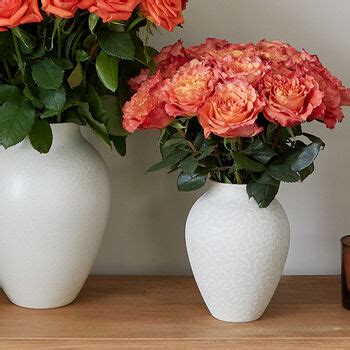 Tequila Sunrise Rose Fresh Bouquet By Flowerbx
