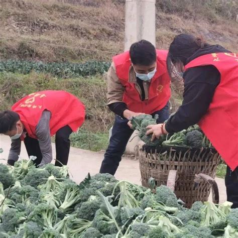 遵道行义•同心抗疫 同心抗疫 各地群众为敬贤社区捐赠物资大坪街道黄洋蔬菜