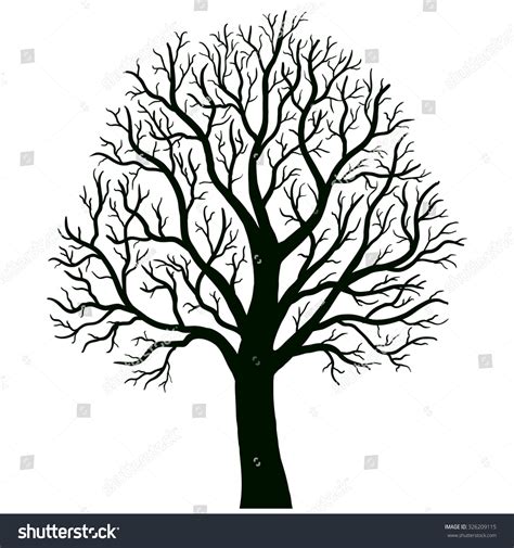 Tree Isolated Vector Stock Vector Royalty Free 326209115 Shutterstock