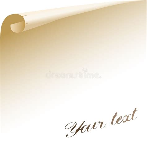 Paper Page With Curl Stock Vector Illustration Of Canvas