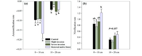 Net Ammonification And Nitrification Rates In Surface And Subsurface Download Scientific