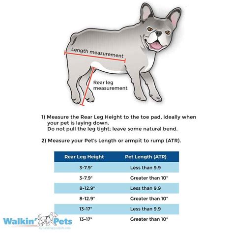 Walkin Wheels® Small Front Wheels Attachment Silver Circle Pets