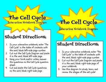 Cell Cycle Interactive Notebook Diagram By Schubach Science TPT