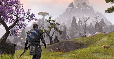 The Elder Scrolls Online новая информация о невидимости инстансах и