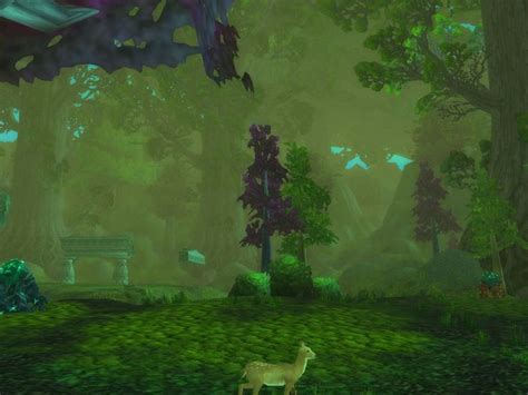 Ashenvale Forest World Of Warcraft Fantasy World Warcraft
